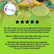 Flower Pot Kit | Garden Craft for Preschoolers – Pinwheel Crafts